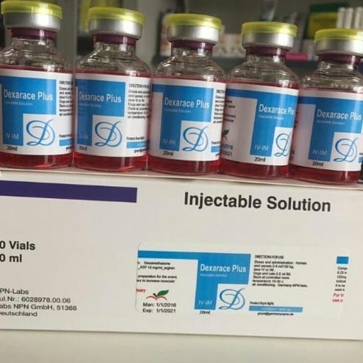 Home - Bdneny Equine Therapy