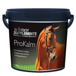 Equine Horse Calming Supplements - Bdneny Equine Therapy