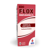 Home - Bdneny Equine Therapy