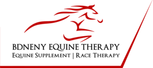 Potenay Gold B12 120ml - Bdneny Equine Therapy