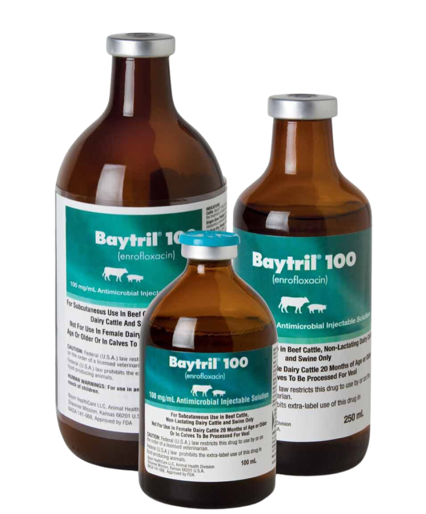 Baytril Enrofloxacin For Horses - Bdneny Equine Therapy